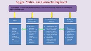 Group 4 Apigee Case Analysis PPT