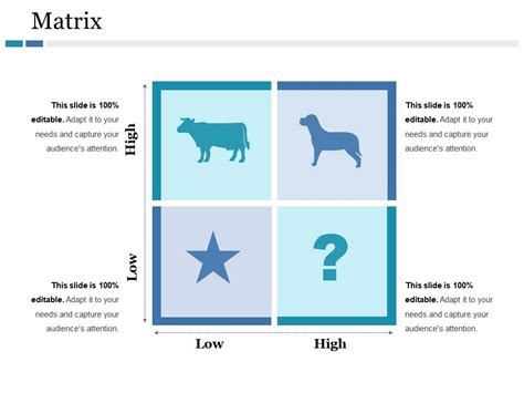 Matrix Ppt Gallery Model Powerpoint Presentation Sample Example Of Ppt Presentation