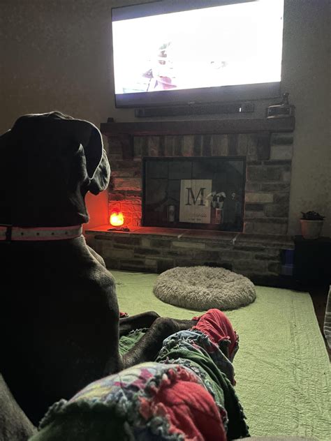 Ruby Loves The Minions R Greatdanes