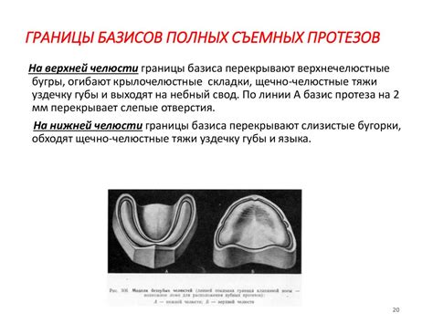 Фиксация Укрепление протеза на челюсти в покое презентация онлайн