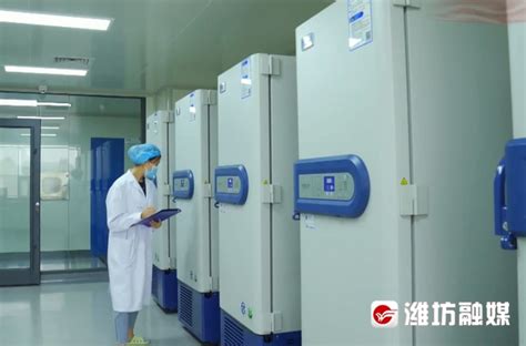 点赞！高密市新获批3家省级“瞪羚”企业 新闻播报 潍坊新闻网