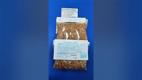 БЯЛА БРЕЗА пъпки Youtube