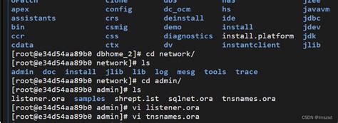 Docker下安装oracle附常见的问题解决helowin Oracle Csdn博客