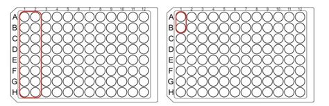 a high throughput automated screening platform for igg quantification