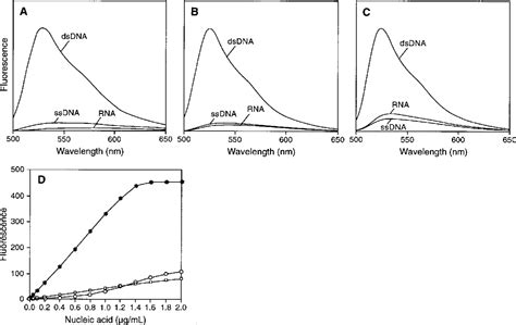 Figure 6 From Characterization Of Picogreen Reagent And Development Of