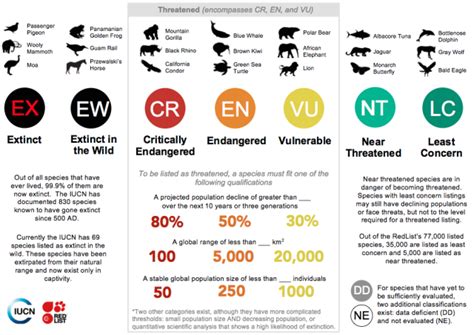 Criteria Explorers Against Extinction