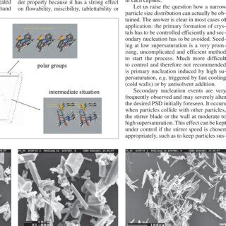 Crystal Faces With Different Polarity Download Scientific Diagram