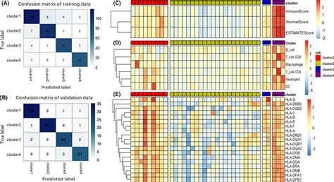Internal Validation And External Validation A The Confusion Matrix
