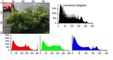 Histogram Modification