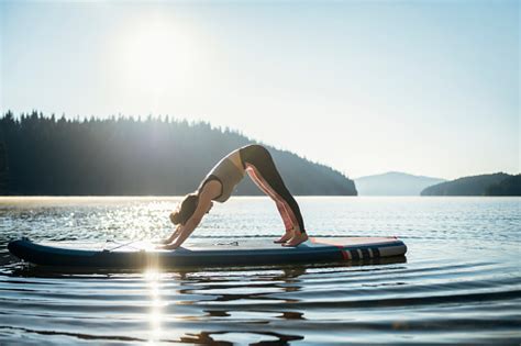 패들보드에서 요가를 하는 여자의 고요한 장면 20 24세에 대한 스톡 사진 및 기타 이미지 20 24세 Sup Yoga 강아지 자세 Istock
