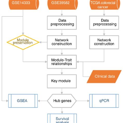 Flow Chart Of Data Preparation Processing Analysis And Validation In