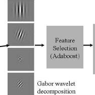 Example Facial Action Decomposition From The Facial Action Coding System Download Scientific