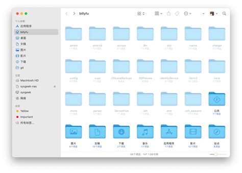 如何在 Mac 上显示隐藏文件：快捷键和「终端」命令 系统极客