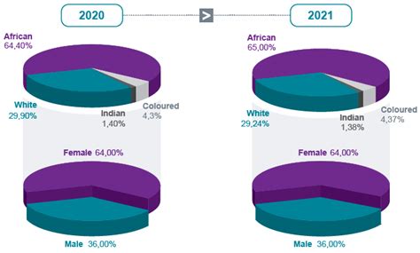 Nwu Value Chain Integrated Annual Report 2021 North West University