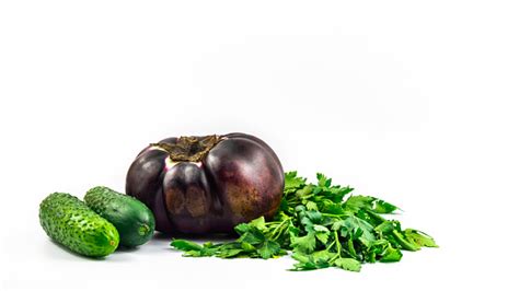 하얀 고립 된 배경에 허브와 오이가지와 가지의 아름다운 타원형 희귀 한 다양한 배너 재료 0명에 대한 스톡 사진 및 기타 이미지