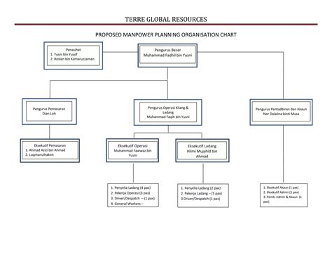 Proposed Manpower Planning Organisation Chart PDF