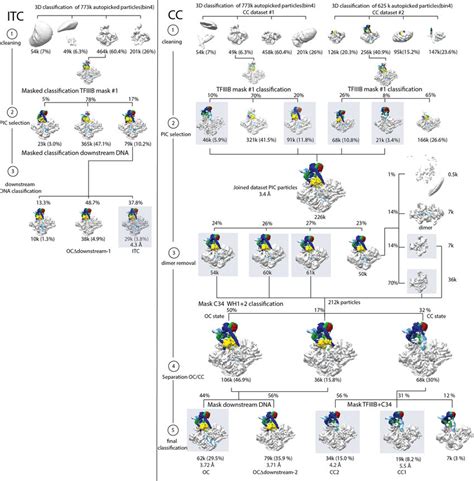 Classification Strategies For Cryo Em Datasets Left Itc Dataset The