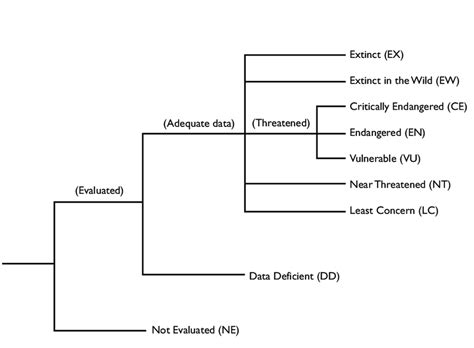 1 Schema Of The Current Iucn Categories Of Threat Download Scientific Diagram