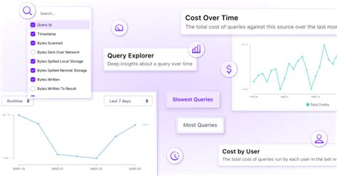 new feature data insights metaplane