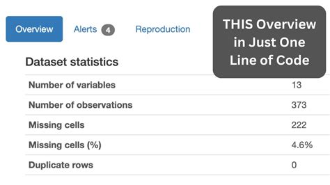 Python Quick Dataframe Overview With Ydata Profiling Youtube