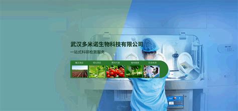 多米诺生物 土壤理化检测 动植物理化检测 酶活性检测 靶向代谢检测 养分元素 氧化应激 微生物量 植物激素 昆虫激素 武汉多米诺生物科技有限公司