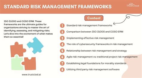 What Are Two Standard Risk Management Frameworks