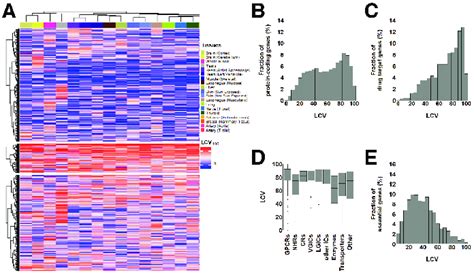 gene expression variability across human tissues is higher among
