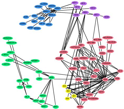 Spring Embedded Layout Incorporating Evolutionary Distance Information Download Scientific