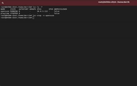 How To Use LXC Containers On Linux Addictive Tips Guide