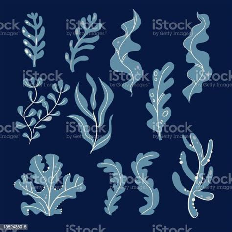 흰색 배경에 고립 된 수채화 해초 산호 및 돌 세트 수중 수채화 조류 세트 산호초에 대한 스톡 벡터 아트 및 기타 이미지 산호초 0명 개체 그룹 Istock