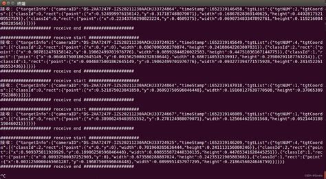C语言socket服务端报错：bind Socket Error Address Already In Useerrno 98（setsockopt各使用场景） Csdn博客