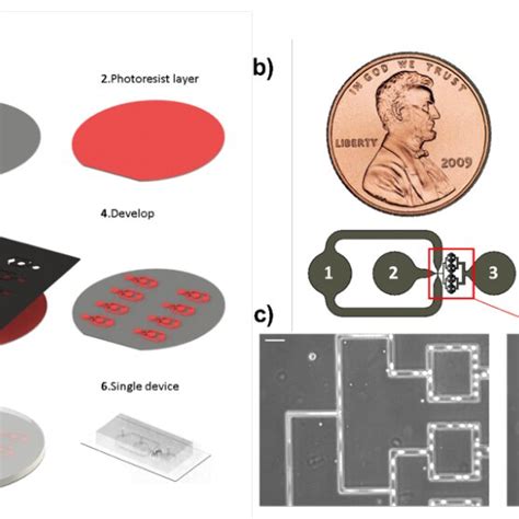Microfluidic Device For High Throughput Production Of Monodisperse Gel Download Scientific