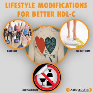 Ways To Increase HDL C Absolute Health And Wellness