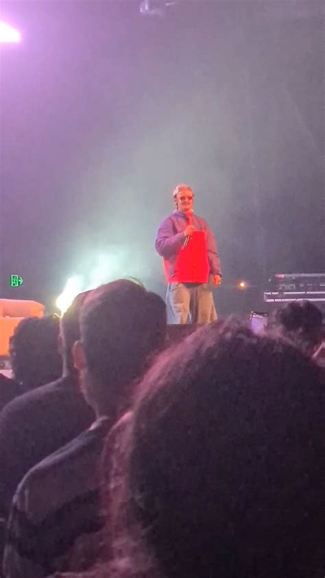 Weird Loser Olive Tree Loses His Hair In Sydney Rh3h3productions