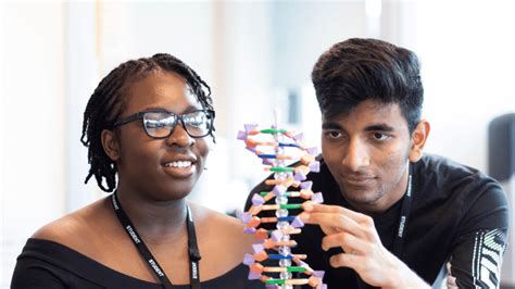 Study A Levels BTECs GCSEs Sixth Form Colleges