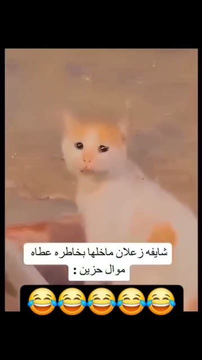 زعلان😂😂 Youtube