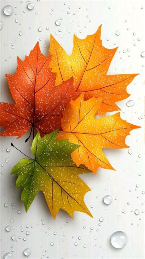 Fall Leaves Background Autumn Leaves Wallpaper Aesthetic Autumn Leaf