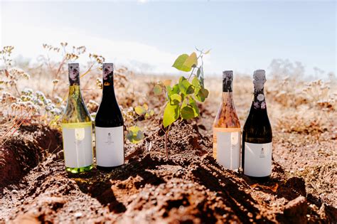 Sustainable Drinks Tread Softly