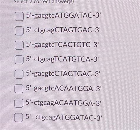 Solved Below Is The Sequence Of A Gene And You Would Like Chegg