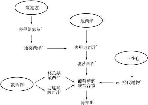 一苯二氮 类 药理学 医学