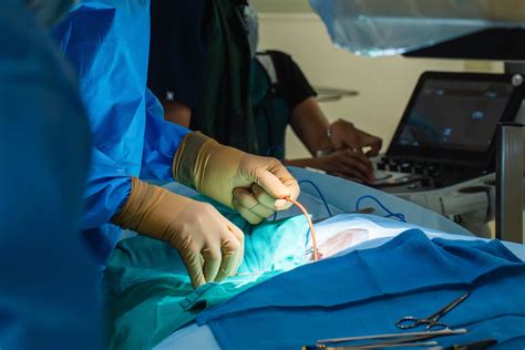 What Is Technology Transfer Examples Colorado State University