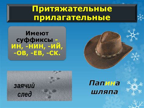Разряды имен прилагательных 6 класс презентация онлайн