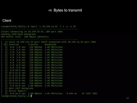 Network Performance Measurement Using Iperf PPTX Computer