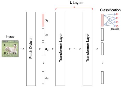 Vision Transformer Overview Download Scientific Diagram