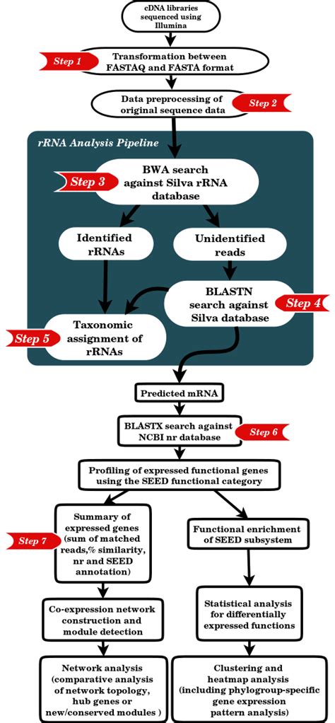 Hamamura Group Meta Transcriptomic Analysis Pipeline