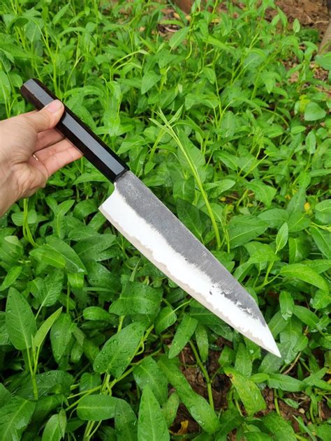 Dao Mèo Dao Rèn Việt