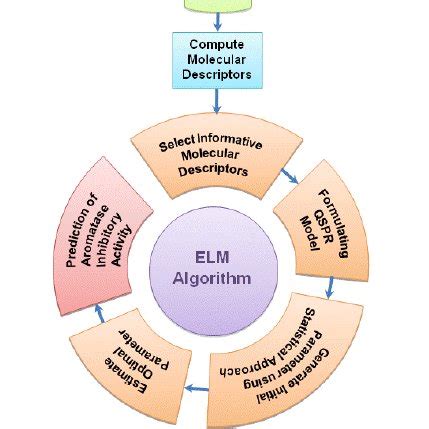 Workflow Diagram Of The Efficient Linear Method ELM Download