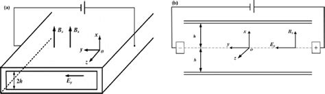 Schematic Of The Physical Modeling A 3d View Of The Emhd Micropump
