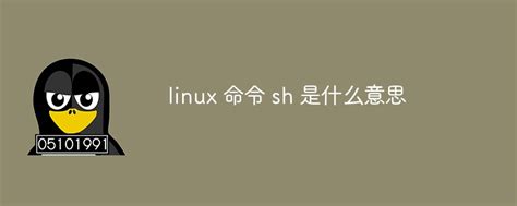 linux 命令 sh 是什么意思 linux运维 PHP中文网 linux 命令 sh 是什么意思 linux运维 PHP中文网