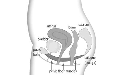Self Help Guide On Bladder And Bowel Problems South Tees Hospitals